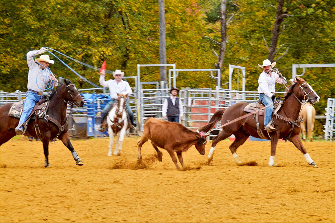 Fairs and fundraisers among weekend events | News, Sports, Jobs - The ...